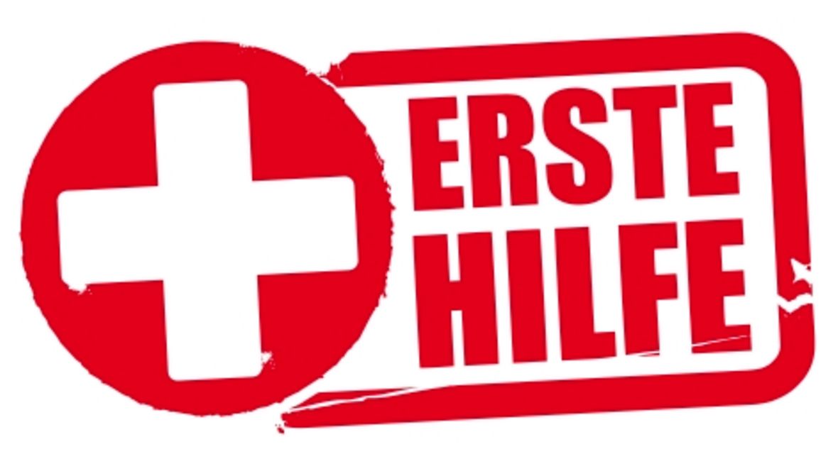 Handbuch zur Ersten Hilfe - bgw-online